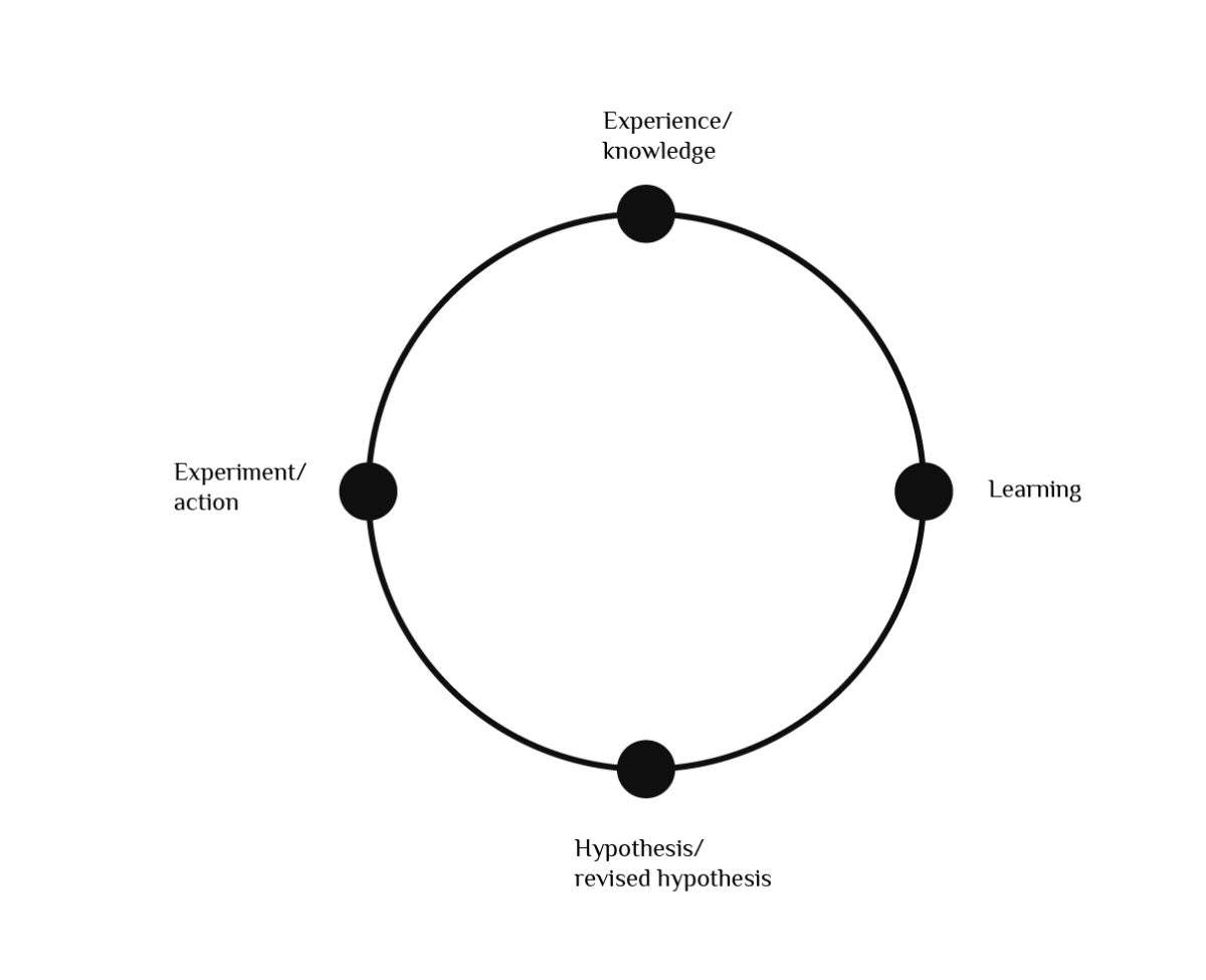 The learning mechanism - Brian Frandsen